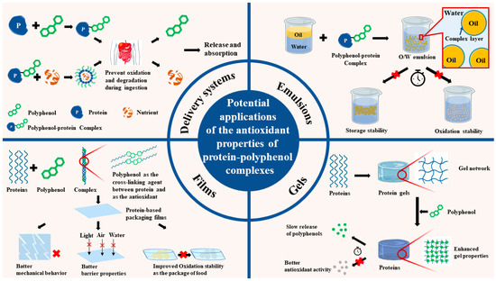 Molecular Mechanisms and Applications of Polyphenol-Protein Complexes ...