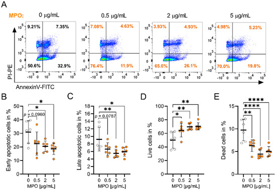 Myeloperoxidase Alters Lung Cancer Cell Function to Benefit Their Survival