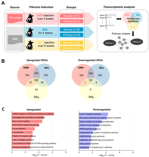 Integrative Transcriptomic Analysis Reveals Upregulated Apoptotic ...