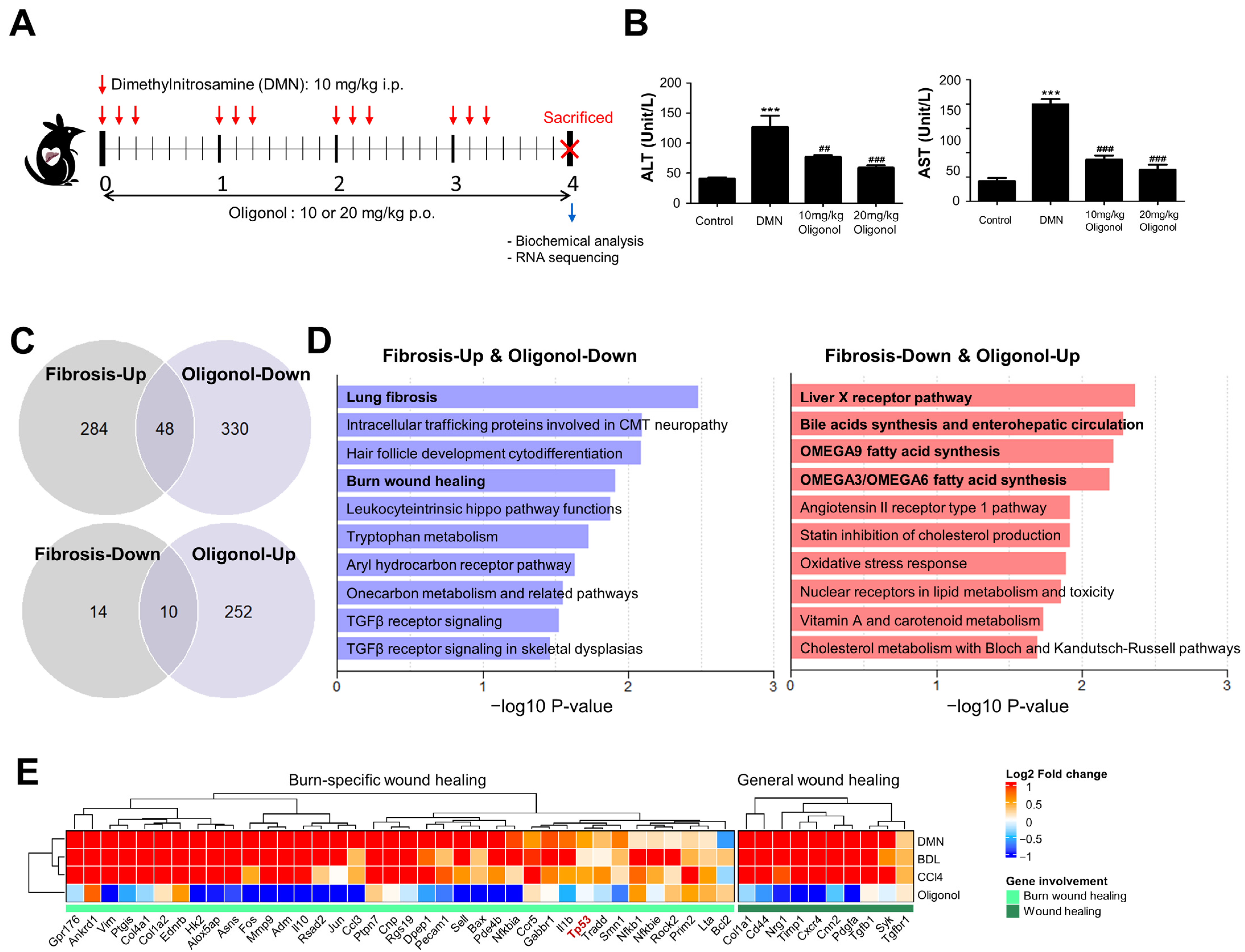 Integrative Transcriptomic Analysis Reveals Upregulated Apoptotic ...