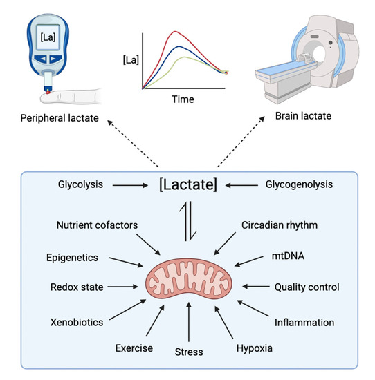 Lactate: A Theranostic Biomarker for Metabolic Psychiatry?