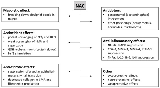 Advances in the Use of N-Acetylcysteine in Chronic Respiratory Diseases