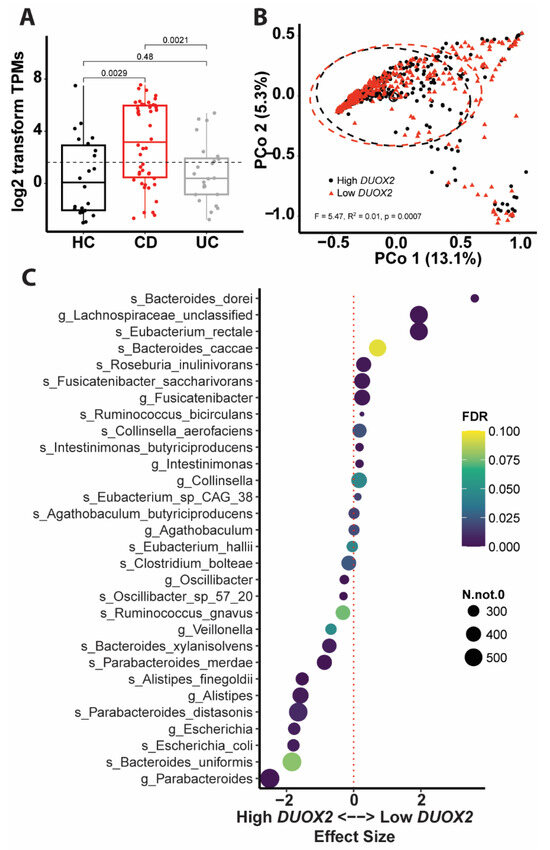 Epithelial Dual Oxidase 2 Shapes the Mucosal Microbiome and Contributes ...