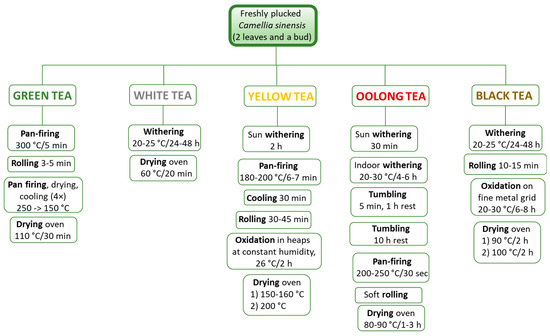 Insights on the Nutraceutical Properties of Different Specialty Teas ...