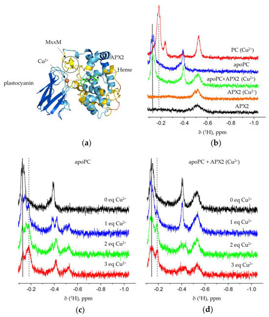 Ascorbate Peroxidase 2 (APX2) of Chlamydomonas Binds Copper and ...