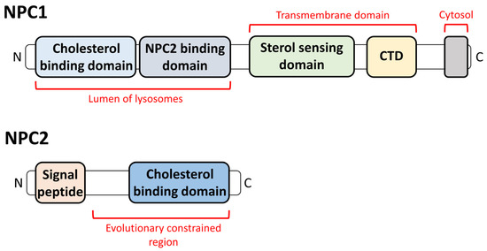Niemann-Pick Disease Type C (NPDC) by Mutation of NPC1 and NPC2 ...