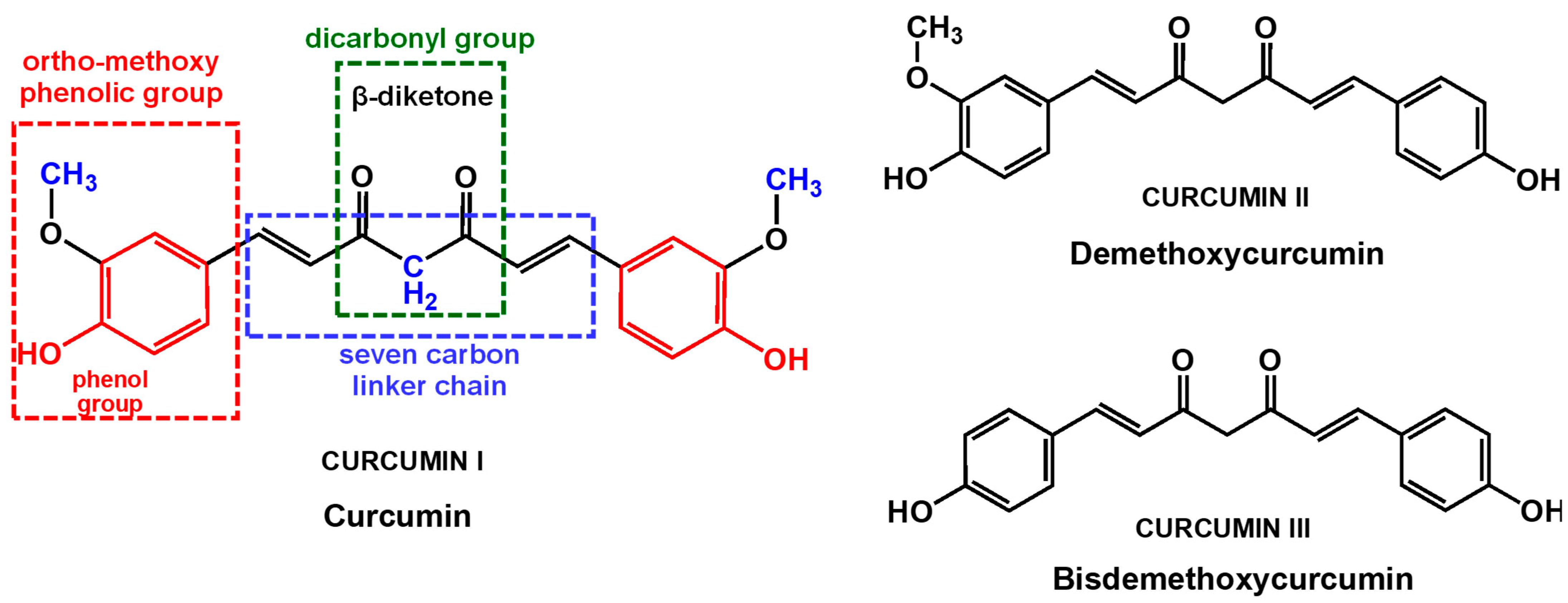 Electrochemical Sensing of Curcumin: A Review