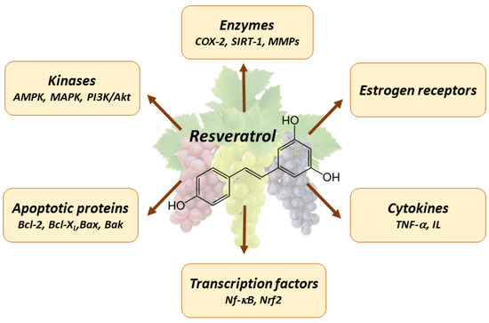 Anti-Cancer Properties of Resveratrol: A Focus on Its Impact on Mitochondrial Functions