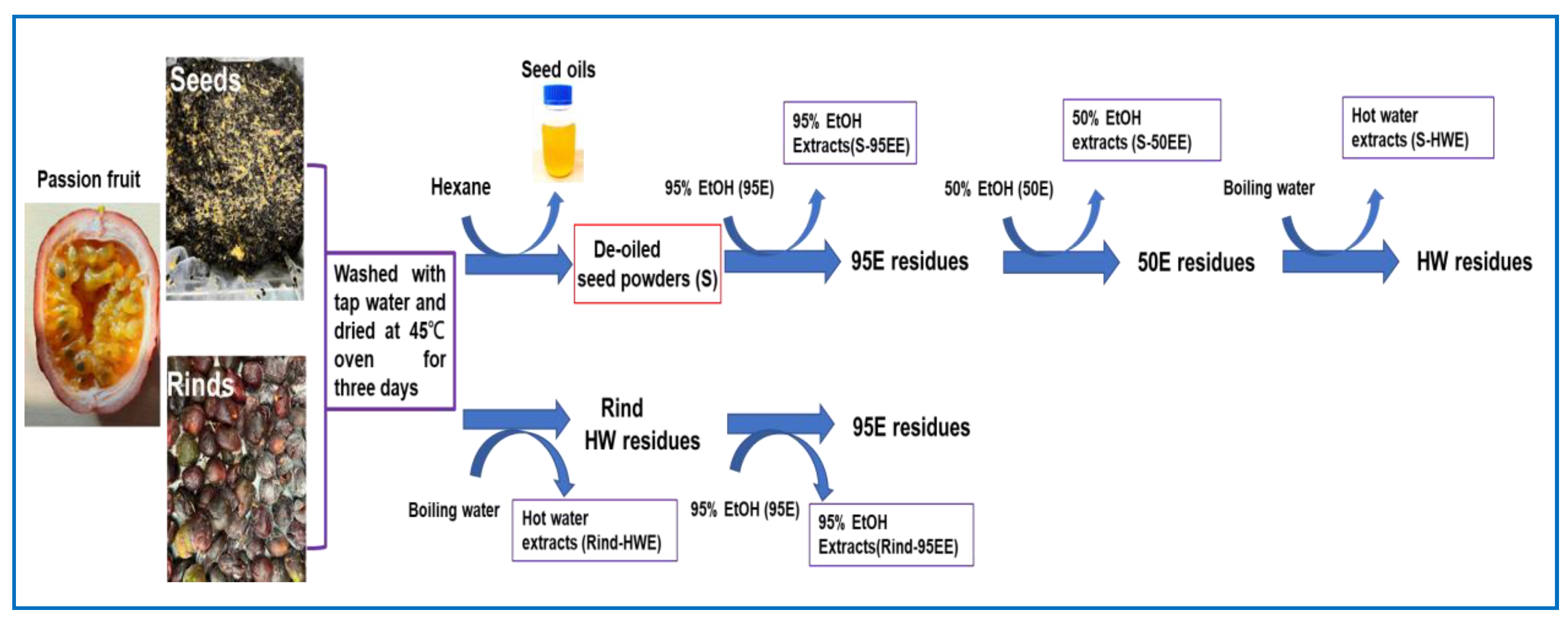 Extracts and Scirpusin B from Recycled Seeds and Rinds of Passion Fruits (Passiflora edulis var ...