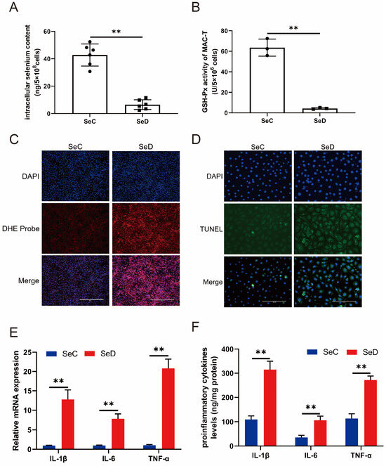 Extracellular Vesicles Derived from Selenium-Deficient MAC-T Cells ...
