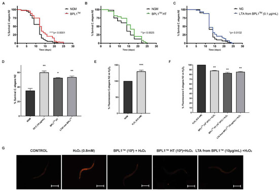 Bifidobacterium animalis subsp. lactis BPL1™ and Its Lipoteichoic Acid ...