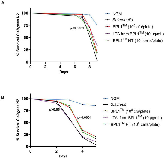 Bifidobacterium animalis subsp. lactis BPL1™ and Its Lipoteichoic Acid ...