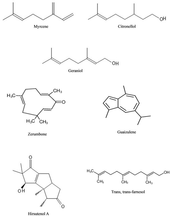 Antioxidants | Free Full-Text | Essential Oils in Cervical Cancer ...