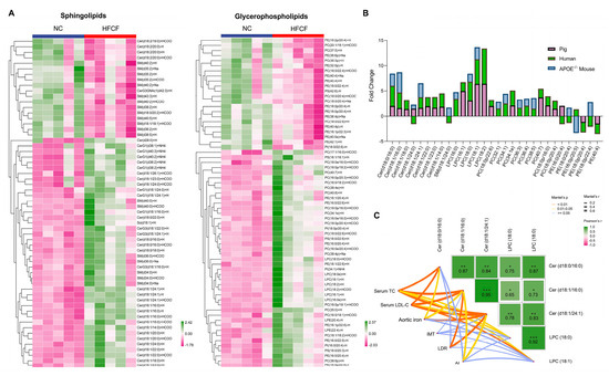 Dysregulation of Ceramide Metabolism Is Linked to Iron Deposition and ...