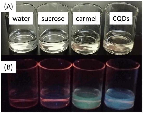 The Influence of Caramel Carbon Quantum Dots and Caramel on Platelet ...