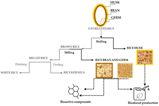 Antioxidants | Free Full-Text | Rice Byproduct Compounds: From Green ...