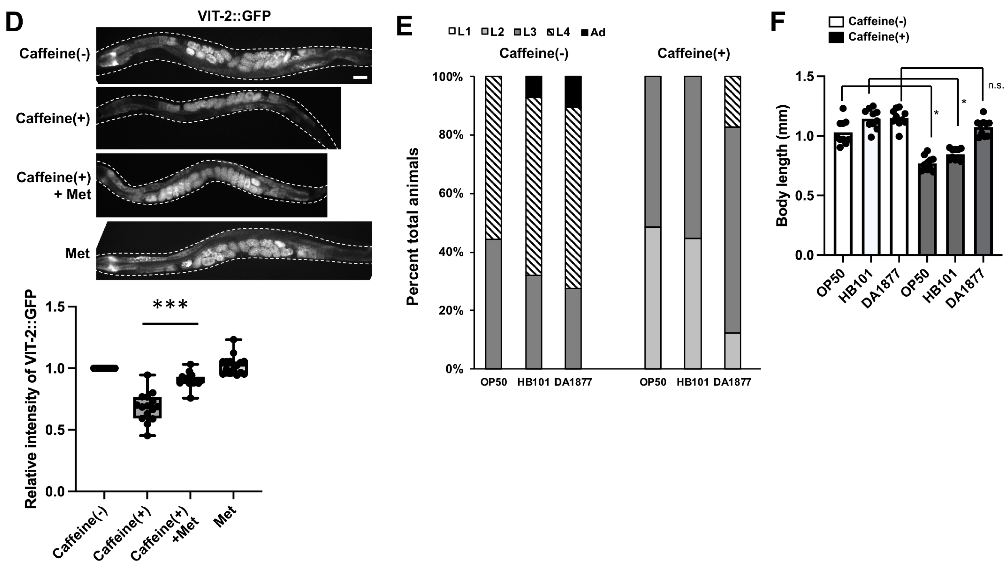 Vitamin B12 Supplementation Improves Oocyte Development by Modulating Mitochondria and Yolk ...