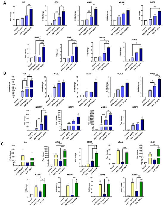 The Hepatokine RBP4 Links Metabolic Diseases to Articular Inflammation