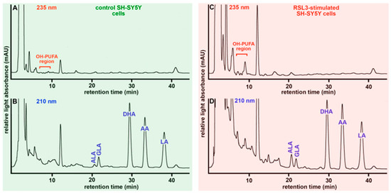 Butylated Hydroxytoluene (BHT) Protects SH-SY5Y Neuroblastoma Cells ...