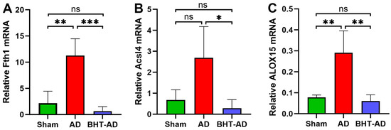 Butylated Hydroxytoluene (BHT) Protects SH-SY5Y Neuroblastoma Cells ...