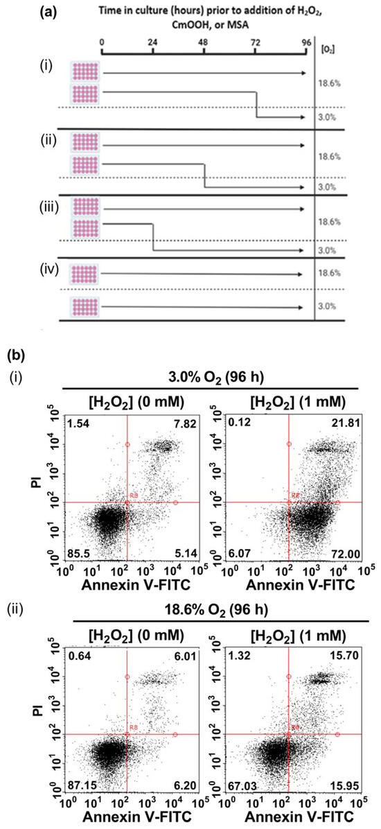 Cellular Pre-Adaptation to the High O2 Concentration Used in Standard ...