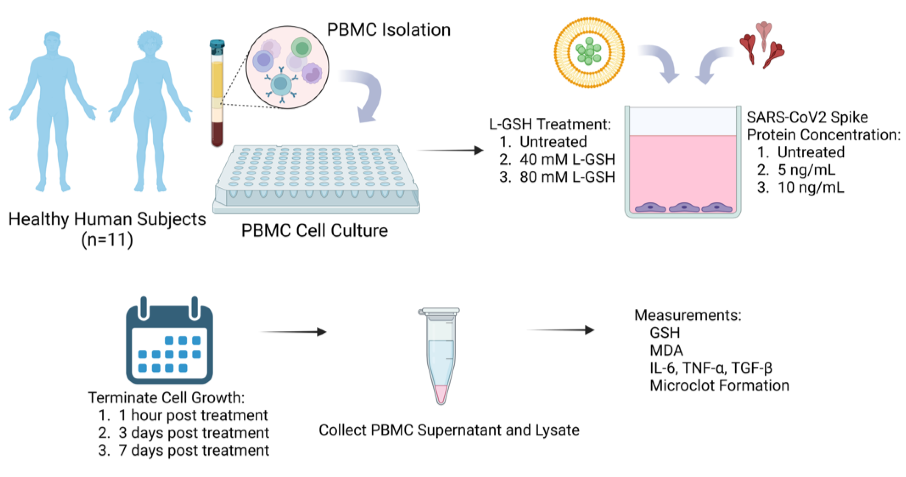 Evaluation of Glutathione in Spike Protein of SARS-CoV-2 Induced ...