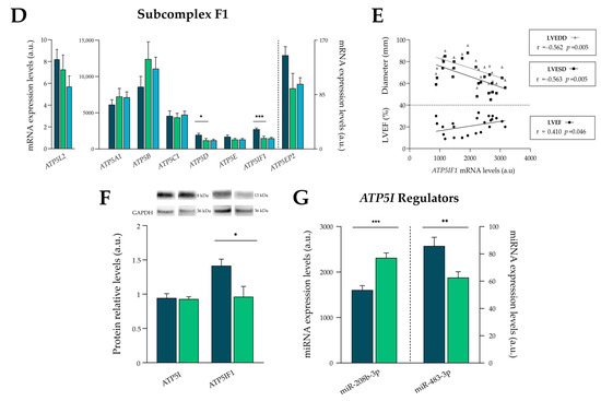 Alterations in Mitochondrial Oxidative Phosphorylation System ...