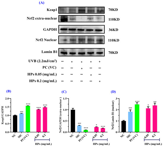 Antioxidants | Free Full-Text | Chemical Characterization of ...