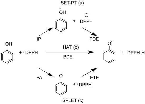 DPPH Measurements and Structure—Activity Relationship Studies on the ...