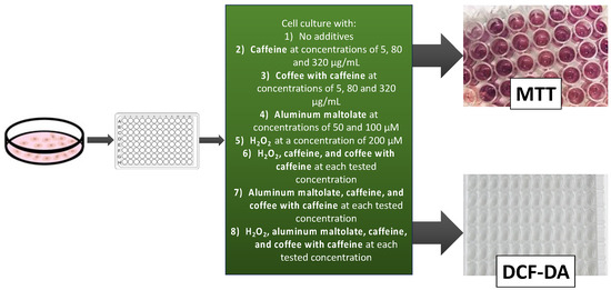 Antioxidants | Free Full-Text | Evaluating the Neuroprotective ...