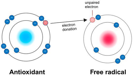 Light Pollution and Oxidative Stress: Effects on Retina and Human Health