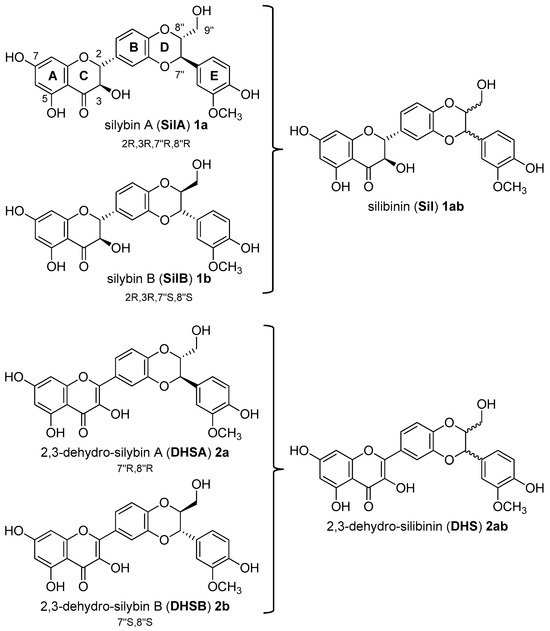 7-O-tyrosyl Silybin Derivatives as a Novel Set of Anti-Prostate Cancer ...
