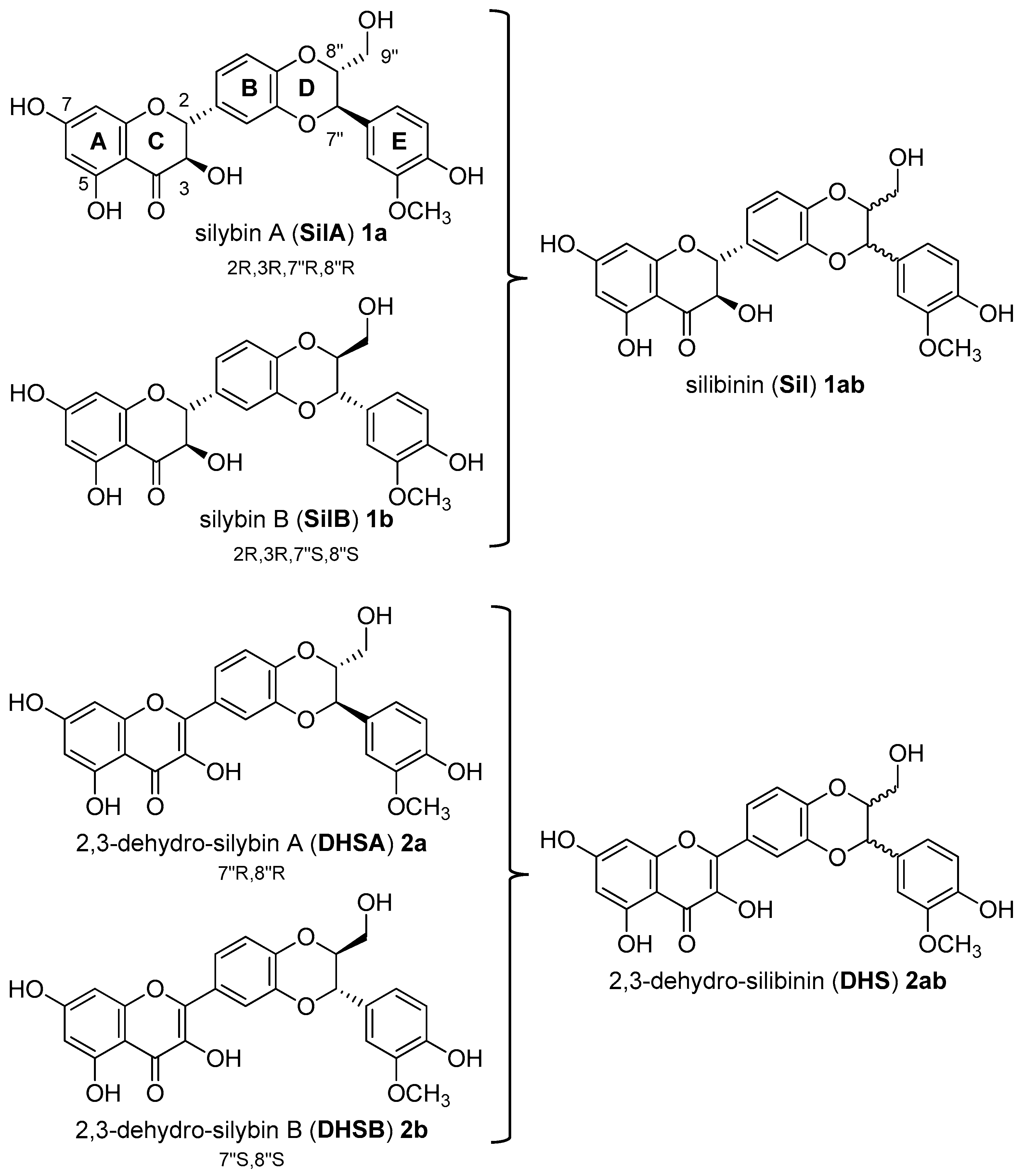 7-O-tyrosyl Silybin Derivatives as a Novel Set of Anti-Prostate Cancer ...