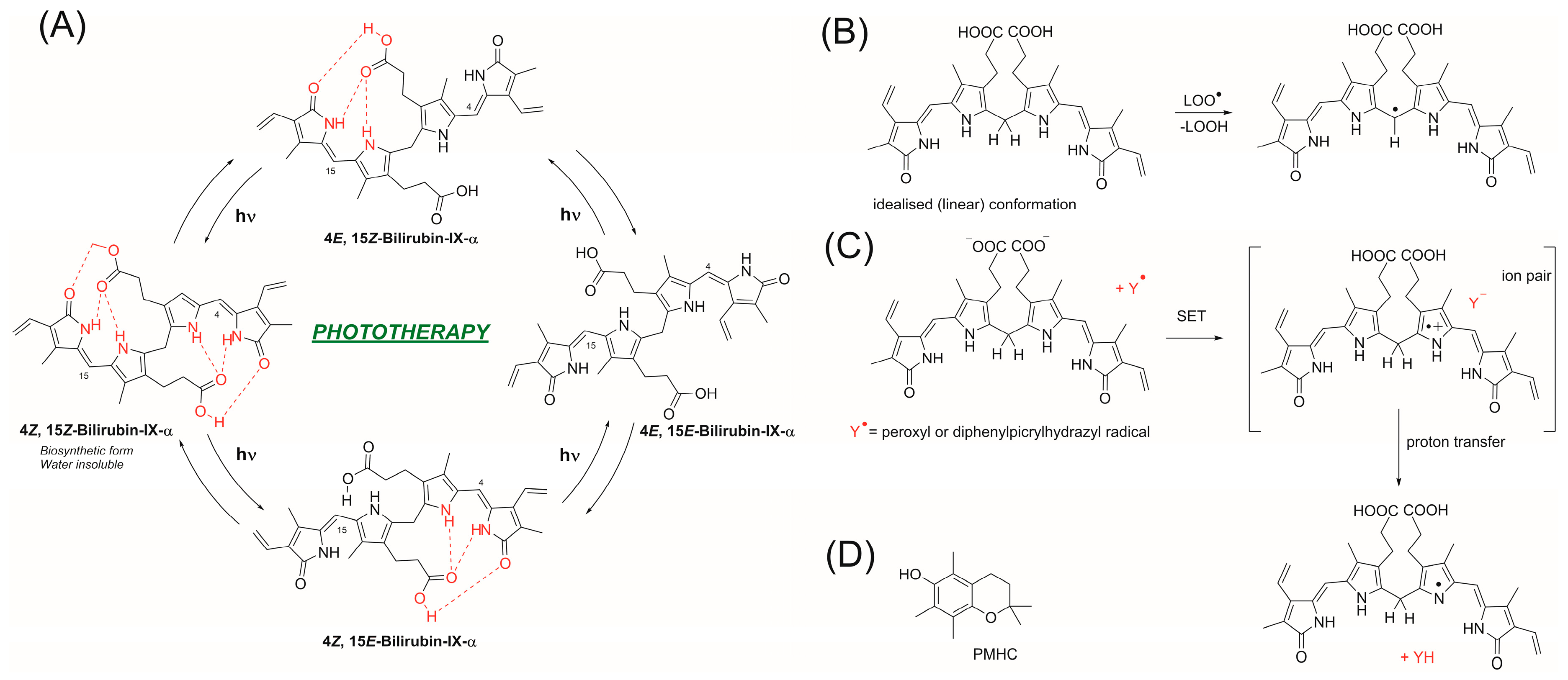 Antioxidant Activity of Bilirubin in Micellar and Liposomal Systems Is pH-Dependent