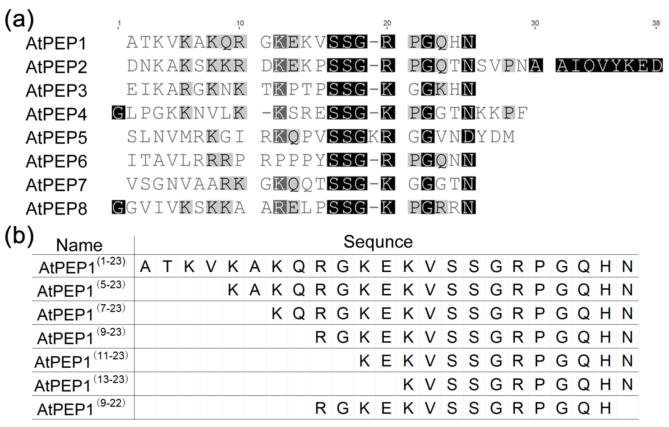 The Truncated Peptide AtPEP1(9–23) Has the Same Function as AtPEP1(1–23 ...