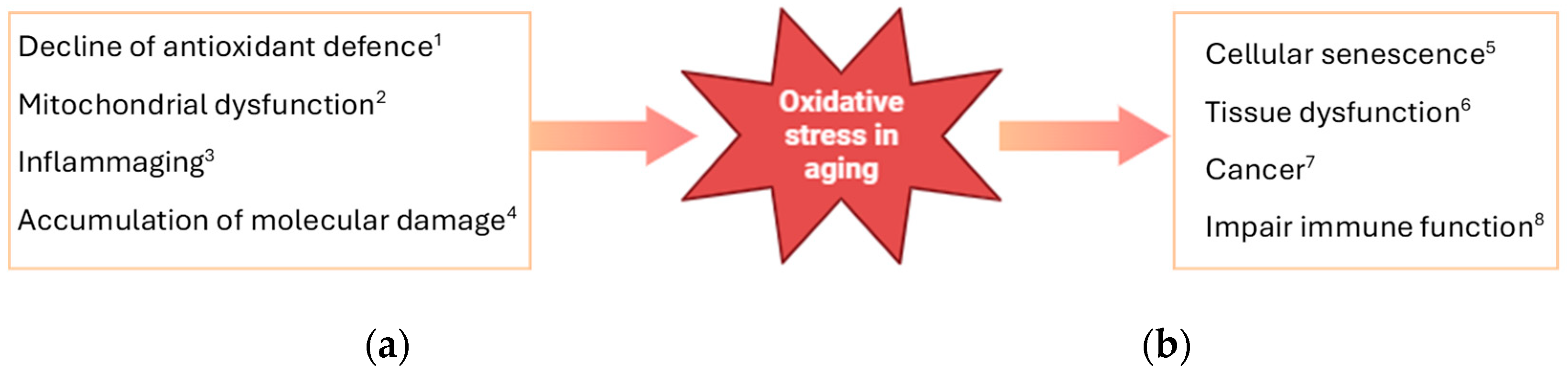 Physical Activity and Oxidative Stress in Aging