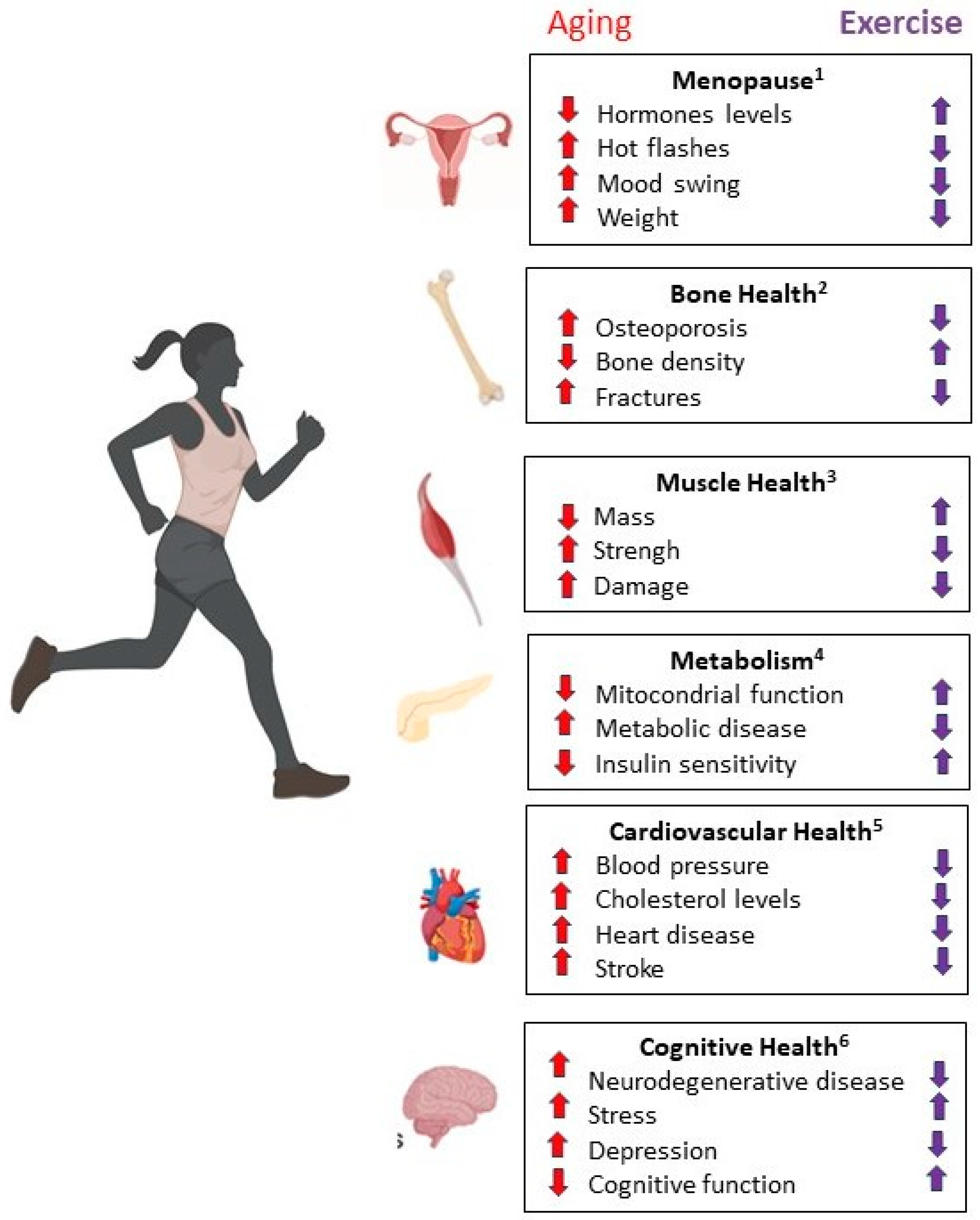 Physical Activity and Oxidative Stress in Aging