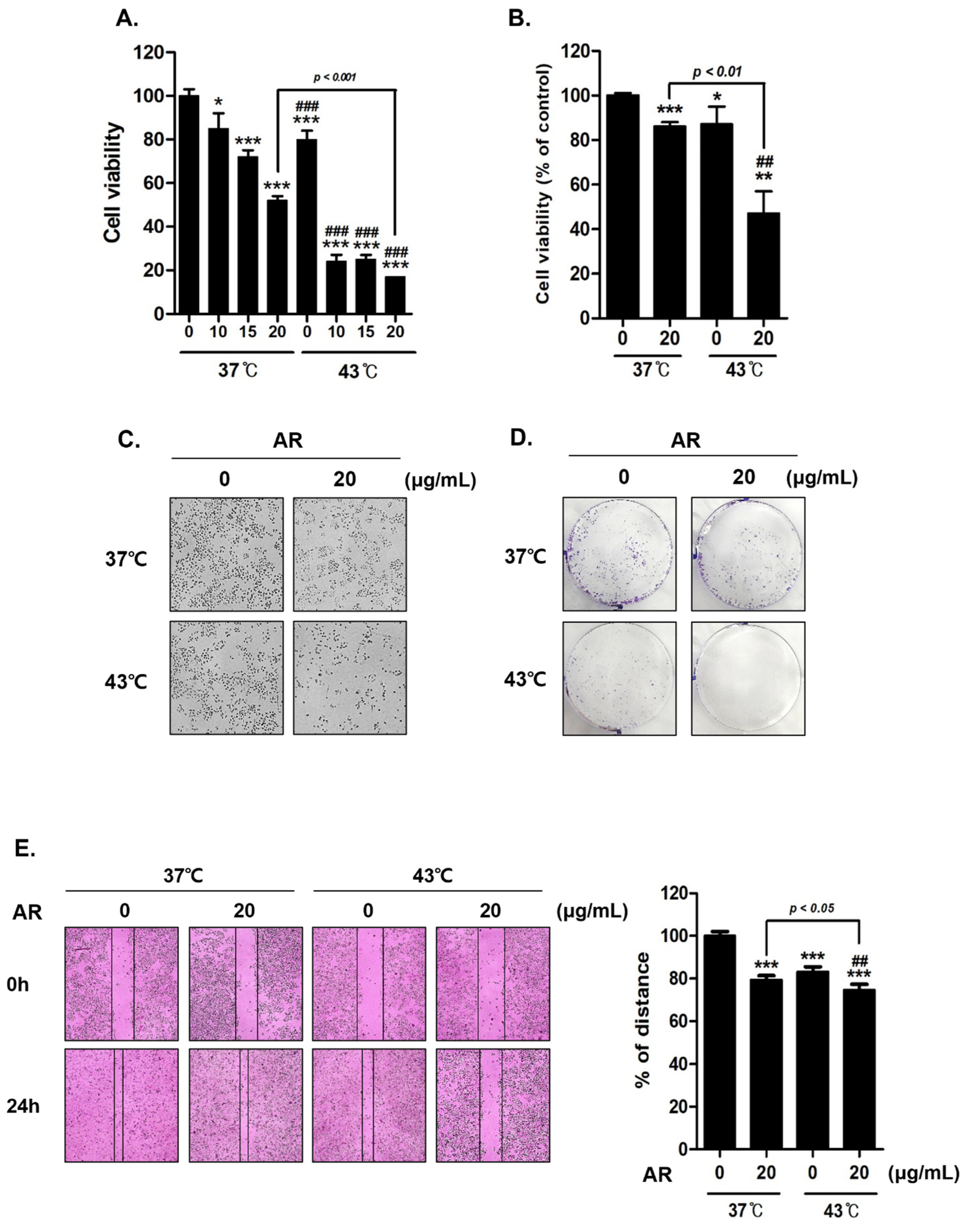 Inhibiting AGS Cancer Cell Proliferation through the Combined ...