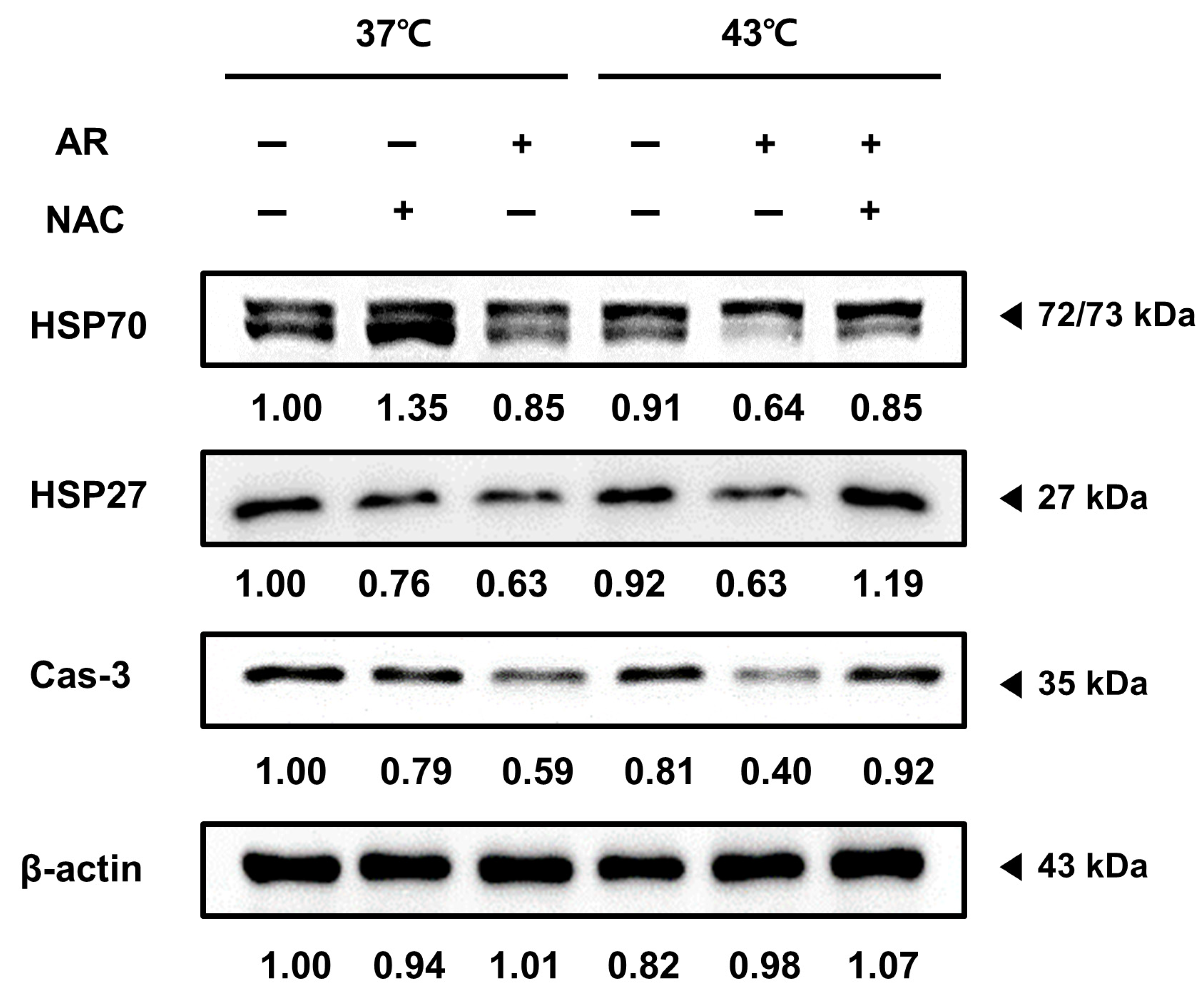 Inhibiting AGS Cancer Cell Proliferation through the Combined ...