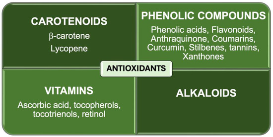 Patent Mining on the Use of Antioxidant Phytochemicals in the Technological Development for the ...