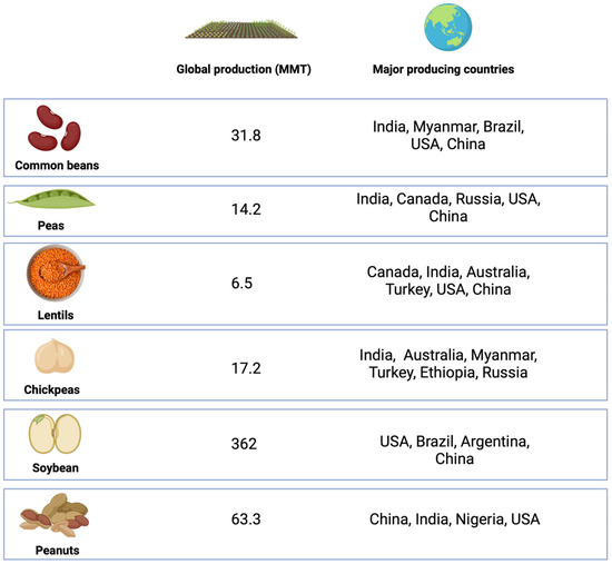 Unlocking the Nutraceutical Potential of Legumes and Their By-Products ...