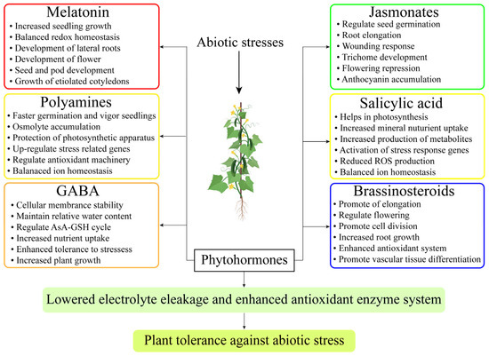 Antioxidants | Free Full-Text | Melatonin Interaction with Other Phytohormones in the Regulation ...