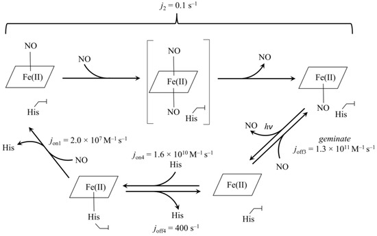 Nitric Oxide Binding Geometry in Heme-Proteins: Relevance for Signal ...