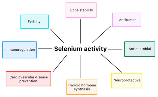 Antioxidants | Free Full-Text | Selenium as a Modulator of Redox ...