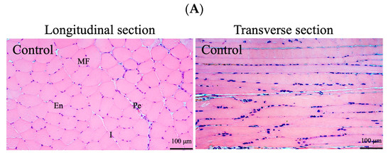 Study on Anti-Inflammatory Effects of and Muscle Recovery Associated ...