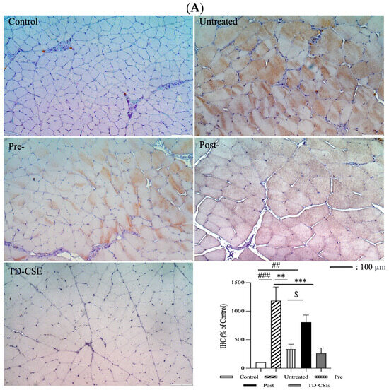 Study on Anti-Inflammatory Effects of and Muscle Recovery Associated ...