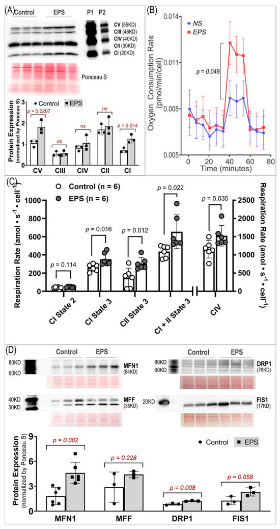 Electrical Pulse Stimulation Protects C2C12 Myotubes against Hydrogen Peroxide-Induced ...