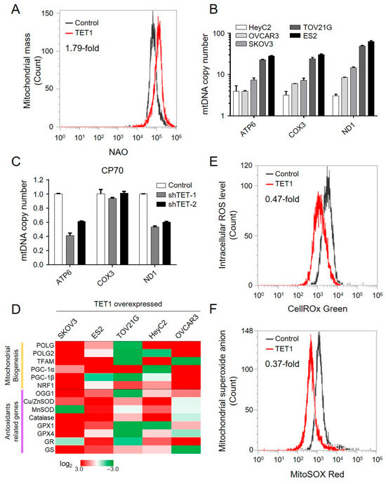 Active DNA Demethylase, TET1, Increases Oxidative Phosphorylation and ...