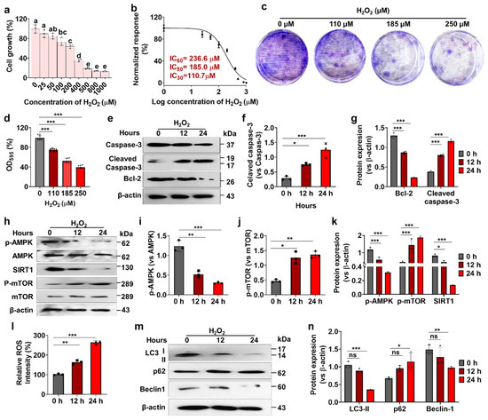 Antioxidants | Free Full-Text | The Survival of Human Intervertebral ...