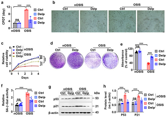 Antioxidants | Free Full-Text | The Survival of Human Intervertebral ...